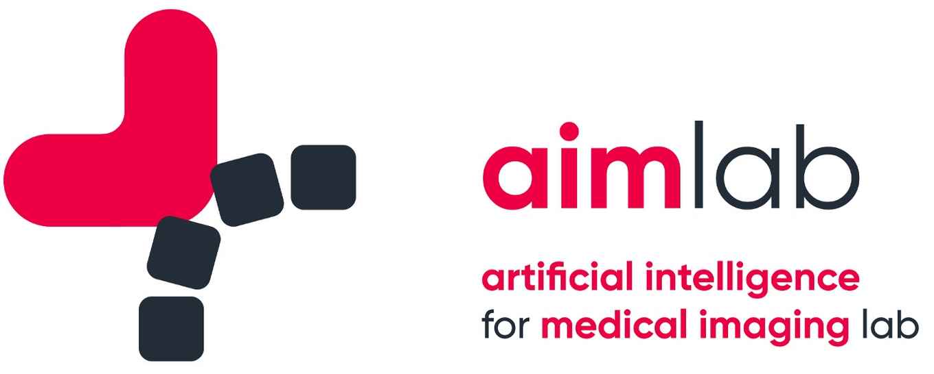 Artificial Intelligence for Medical Imaging Lab - Informatics Institute ...