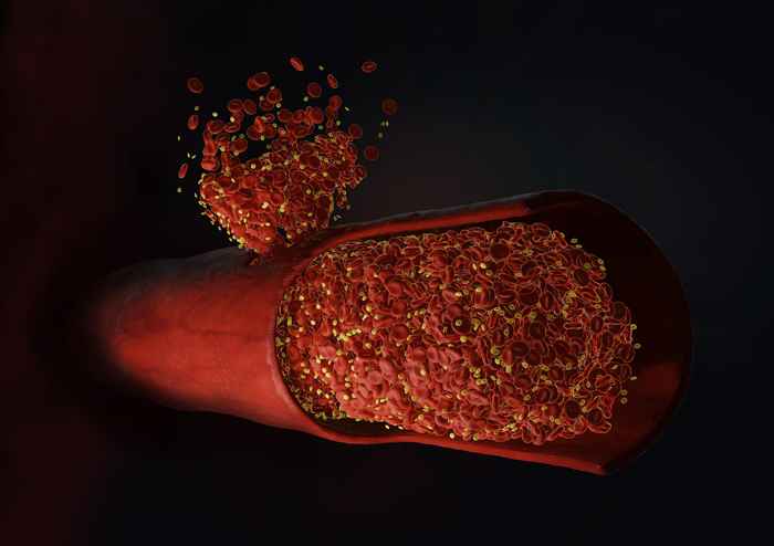After the Bite of a Mosquito: Simulating a small injury to uncover ...